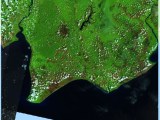 Introducing Machine Learning For Spatial Data Analysis